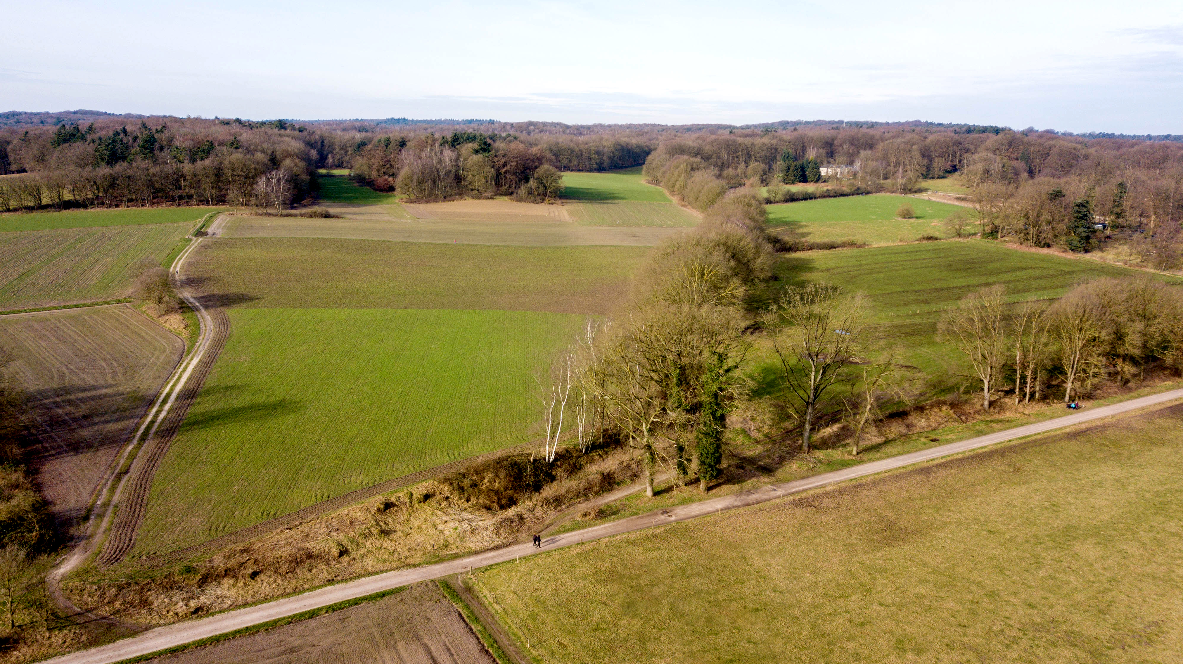 Agnes Schaap is graag kartrekker voor cultuur, natuur en recreatie